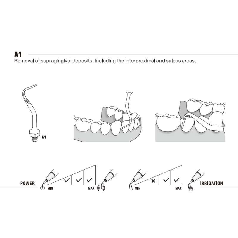 Insert A1 - Woodpecker