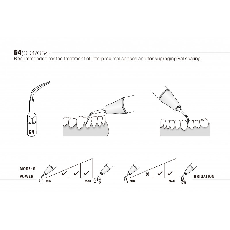Insert GD4 - Woodpecker DTE